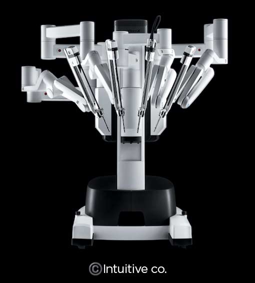 image-of-the-da-Vinci-Portfolio-on-black-desktop - Parametric Architecture