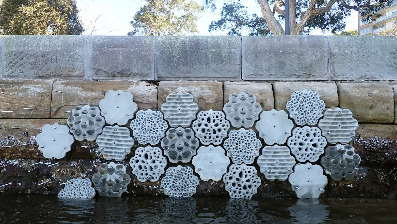 3D-Printed Living Seawalls and BioShelters Revive Sydney's Marine Life