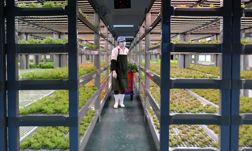 China Launches World’s First AI-Controlled 20-Storey Vertical Plant Factory