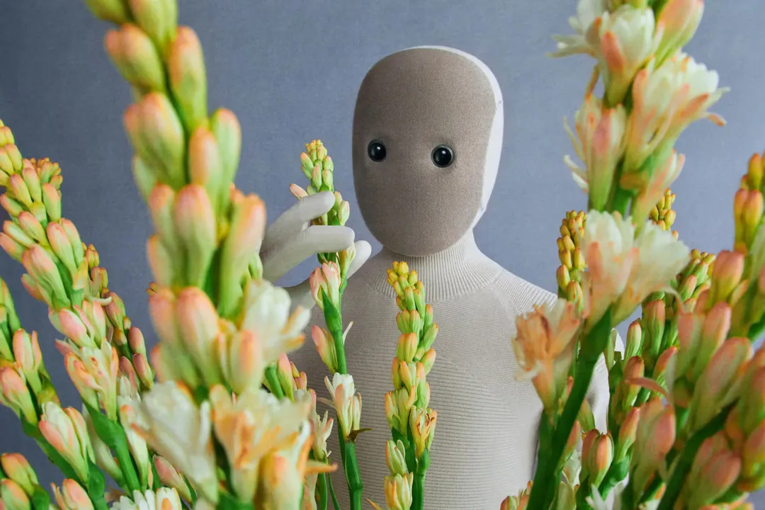 NEO by 1X, The World's First Consumer-Ready Humanoid Robot Built for ...