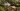 Serpentine Pavilion 2026: New Details of LANZA atelier’s Design Revealed