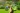 The 30-Billion-Image Dataset Built by Pokémon Go Players Is Now ...